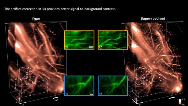 Deep learning enables reference-free isotropic super-resolution for ...