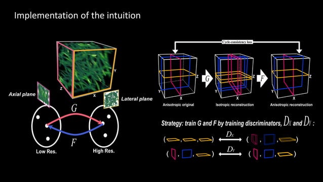 Deep learning enables reference-free isotropic super-resolution for volumetric fluorescence ...