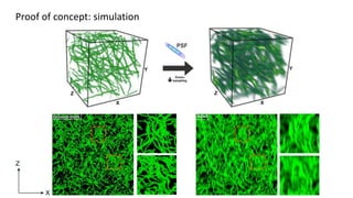 Deep learning enables reference-free isotropic super-resolution for ...
