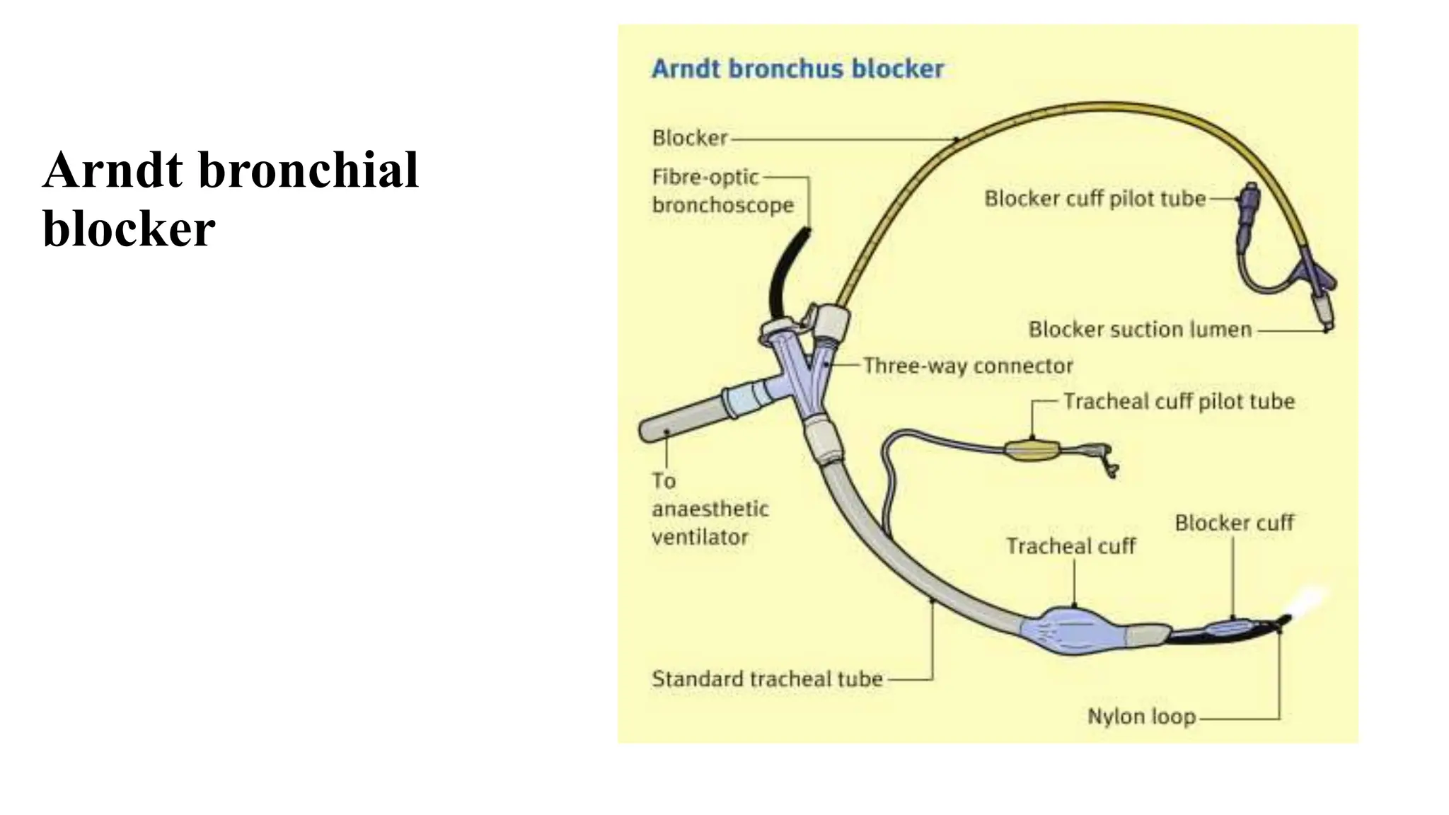 DLT & BB_anaesthesiaequipmentsandpracticle.pptx
