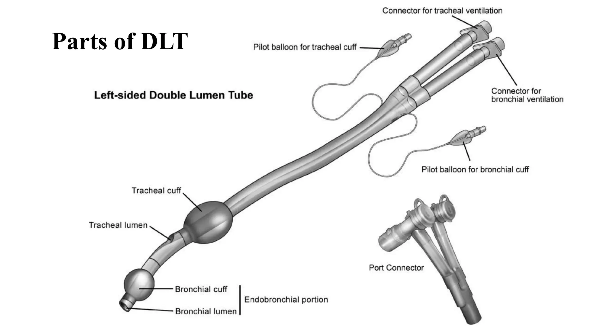 DLT & BB_anaesthesiaequipmentsandpracticle.pptx