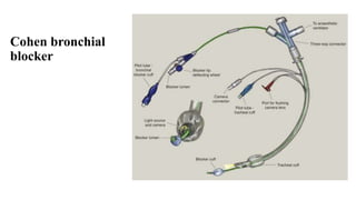 DLT & BB_anaesthesiaequipmentsandpracticle.pptx