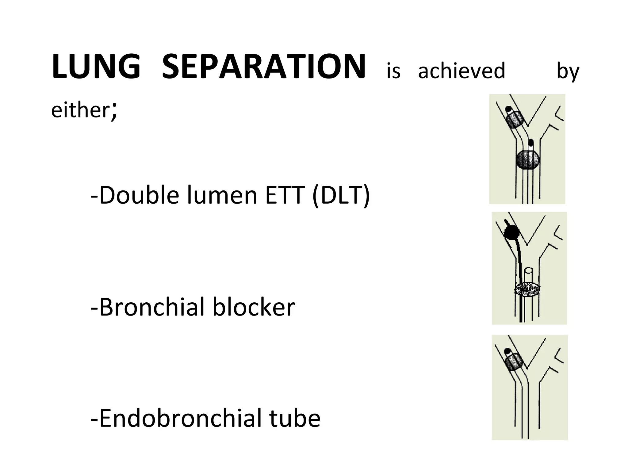 Double Lumen Endobronchial Tubes ppt | PPT