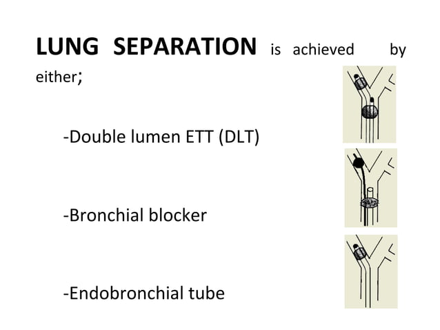 Double Lumen Endobronchial Tubes ppt | PPT | Lung and Respiratory ...