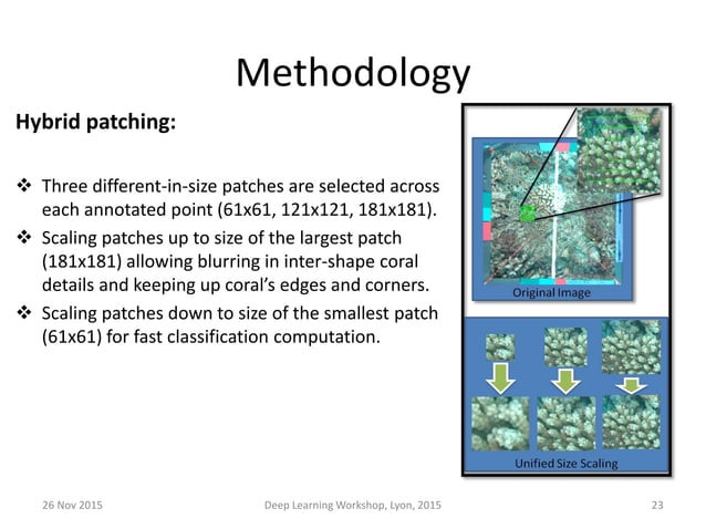 Underwater Sparse Image Classification Using Deep Convolutional Neural