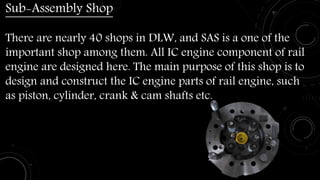 Dlw summer training presentation | PPT