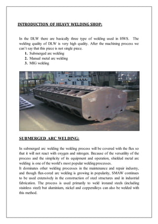 DLW training report | PDF