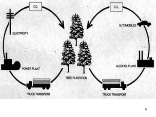 Energy Balance Over Crop ,Leaf Area Index and Biomass Estimation. | PPTX