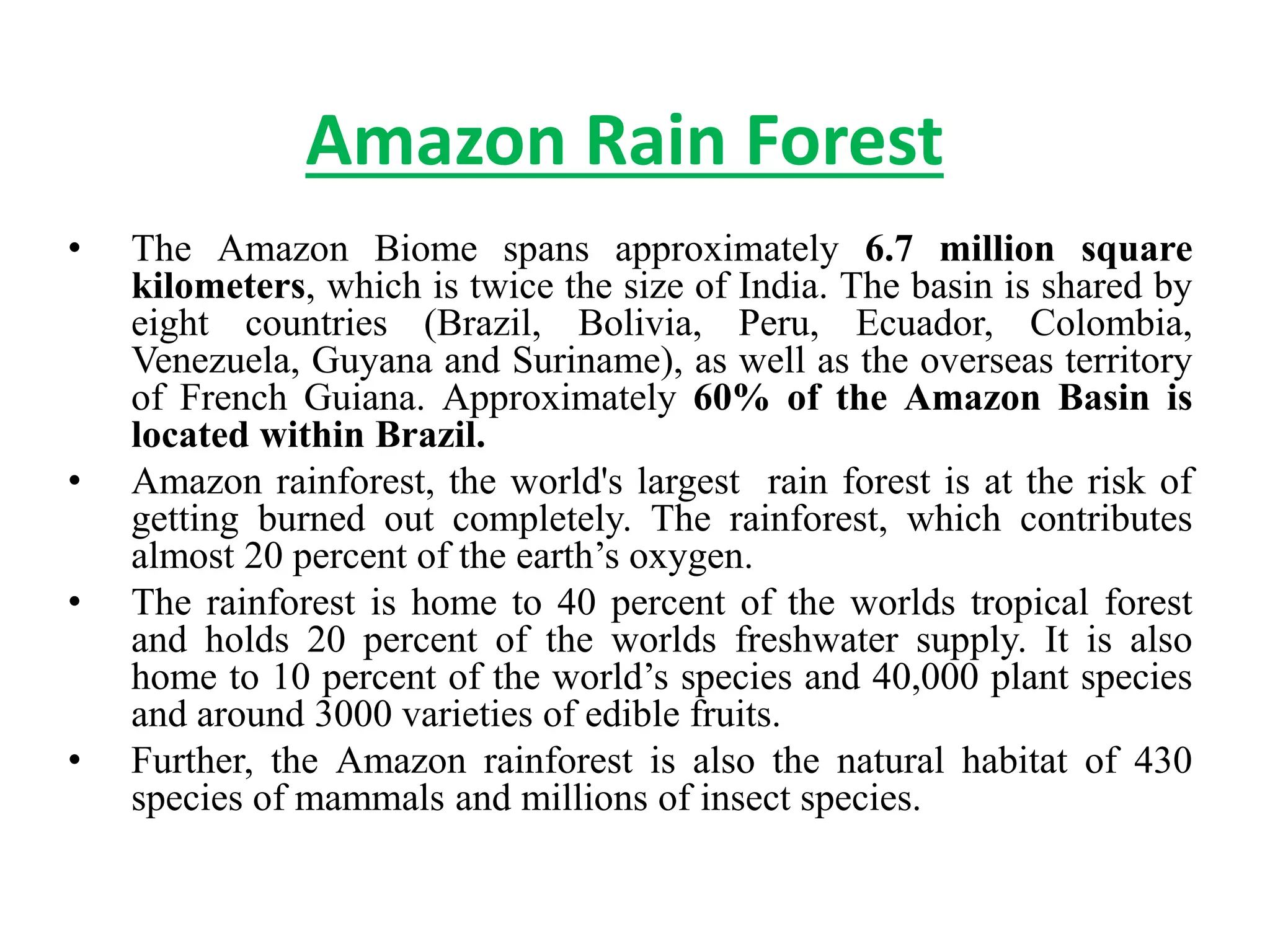Amazon RAIN Forest Fire | PPTX