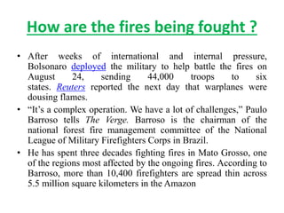 Amazon RAIN Forest Fire | PPTX