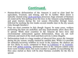 Amazon RAIN Forest Fire | PPTX