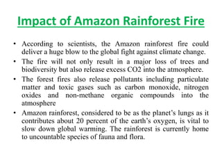 Amazon RAIN Forest Fire | PPTX