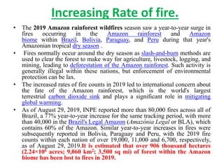 Amazon RAIN Forest Fire | PPTX