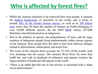 Amazon RAIN Forest Fire | PPTX