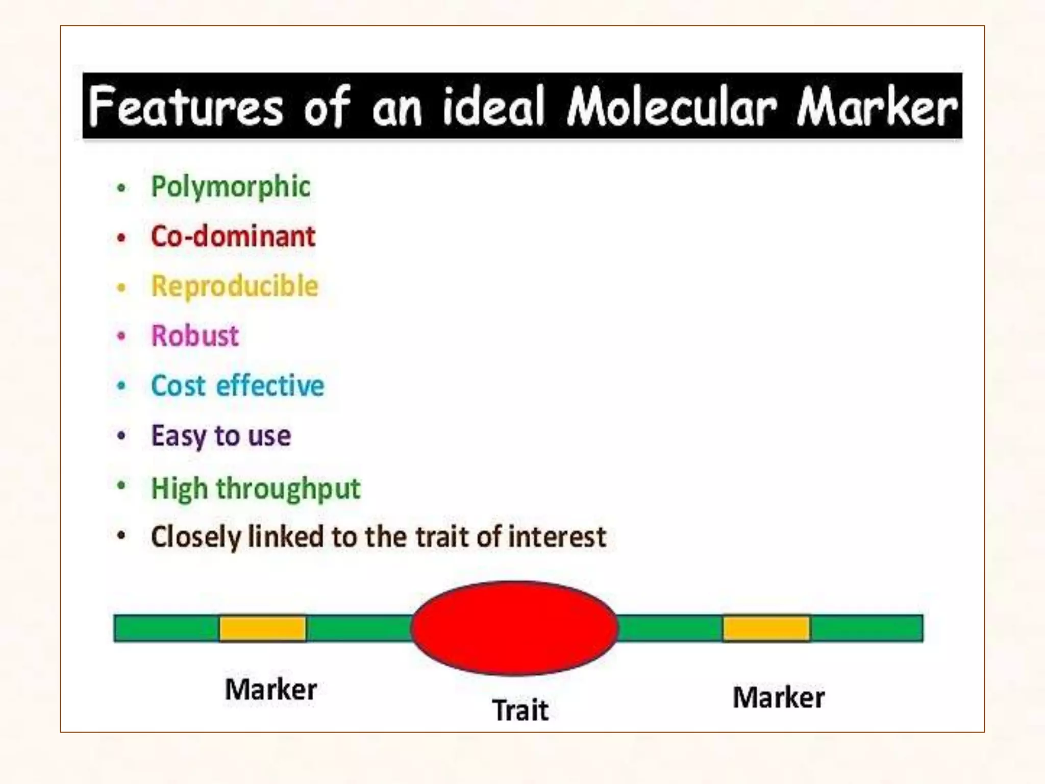 molecular markers ,application in plant breeding | PPTX