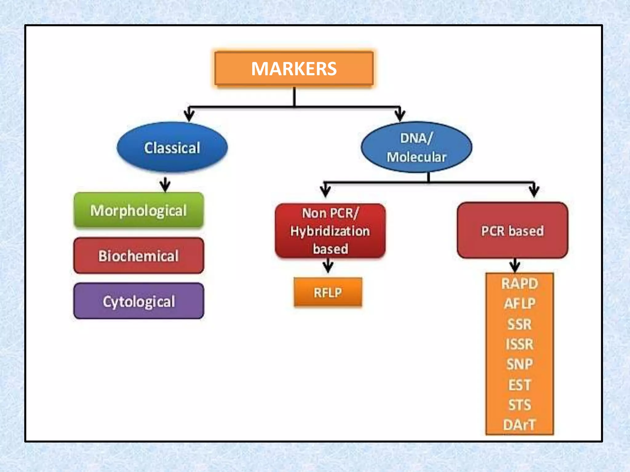 molecular markers ,application in plant breeding | PPTX