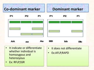 molecular markers ,application in plant breeding | PPTX