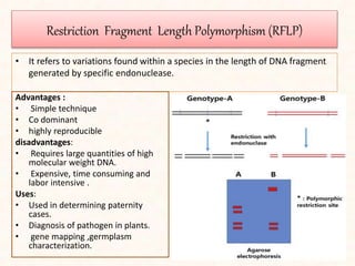 molecular markers ,application in plant breeding | PPTX