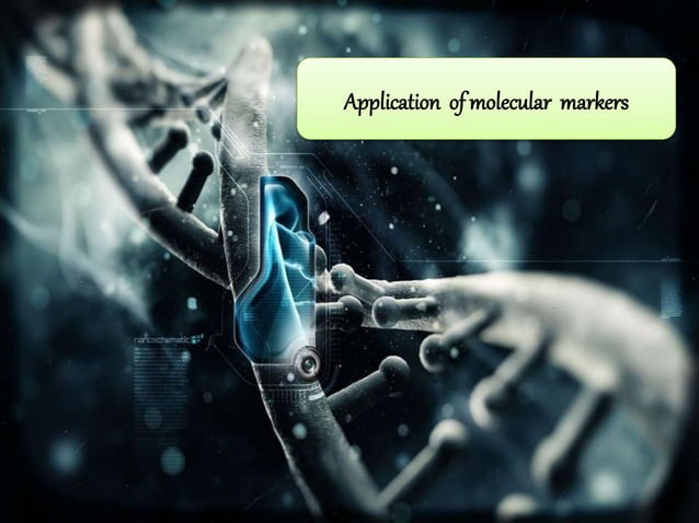 molecular markers ,application in plant breeding | PPTX