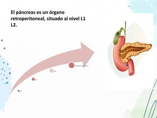 Diabetes mellitus etiología clasificación diagnóstico y tratamiento | PPTX