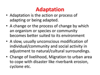 Disaster Prevention,Mitigation & Adaptation : Approaches,Strategies and ...