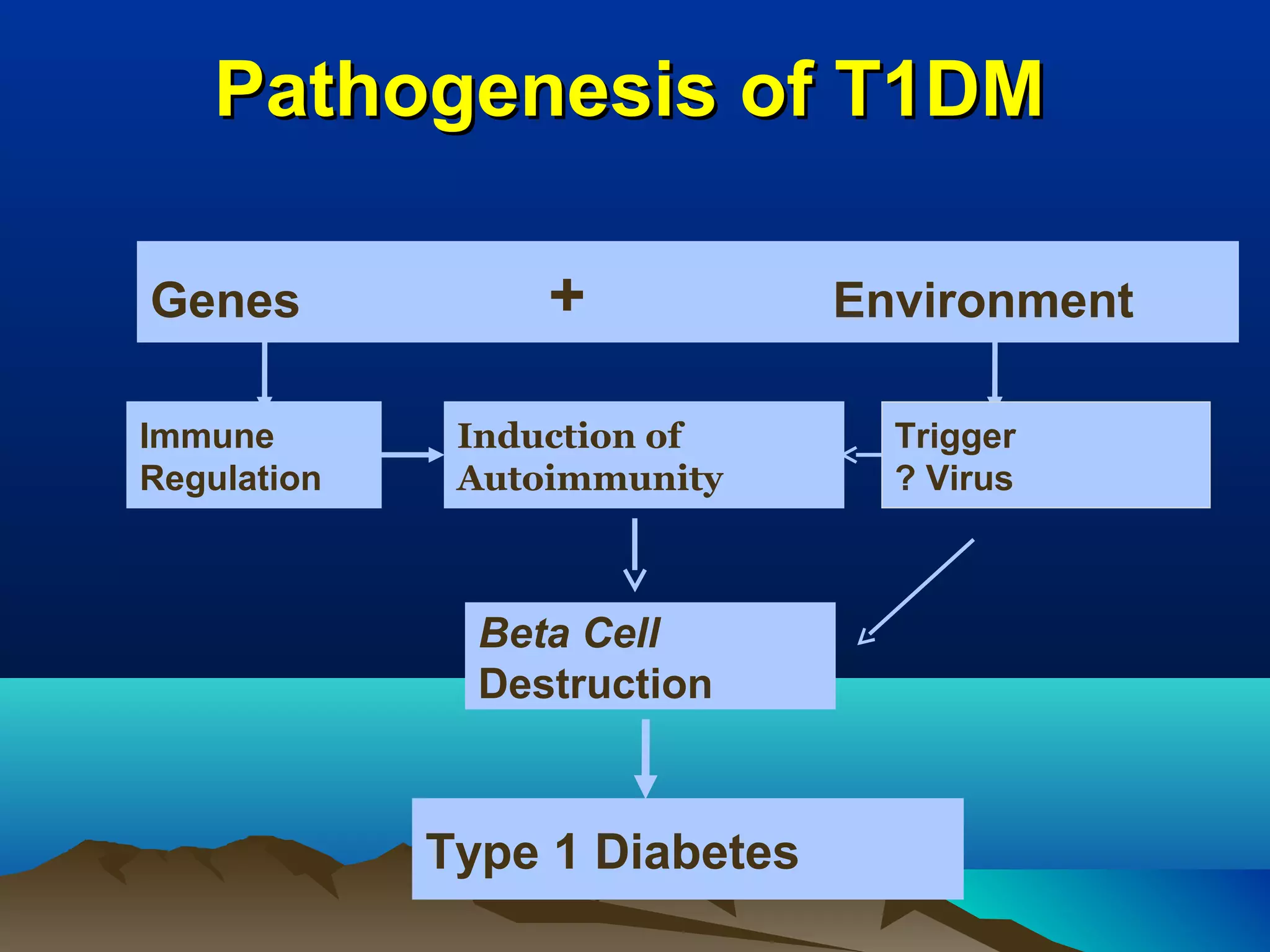 pathophysiology of DM1 | PPT