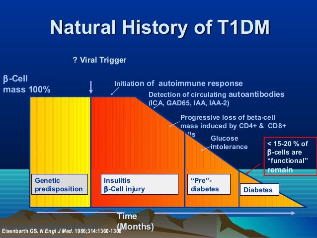 pathophysiology of DM1