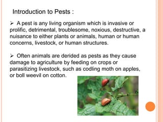 Pest Attack History in the world Disaster Management (DM) | PPTX