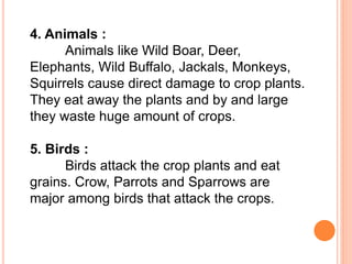 Pest Attack History in the world Disaster Management (DM) | PPT