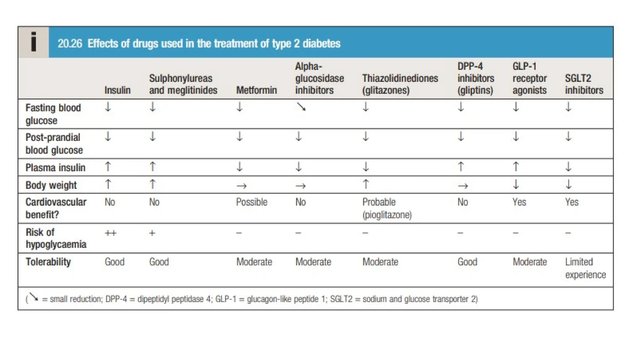 DM 2.pptxhhjgchyfgyffghgghuhhgffhjgxxvgghh | PPT | Free Download