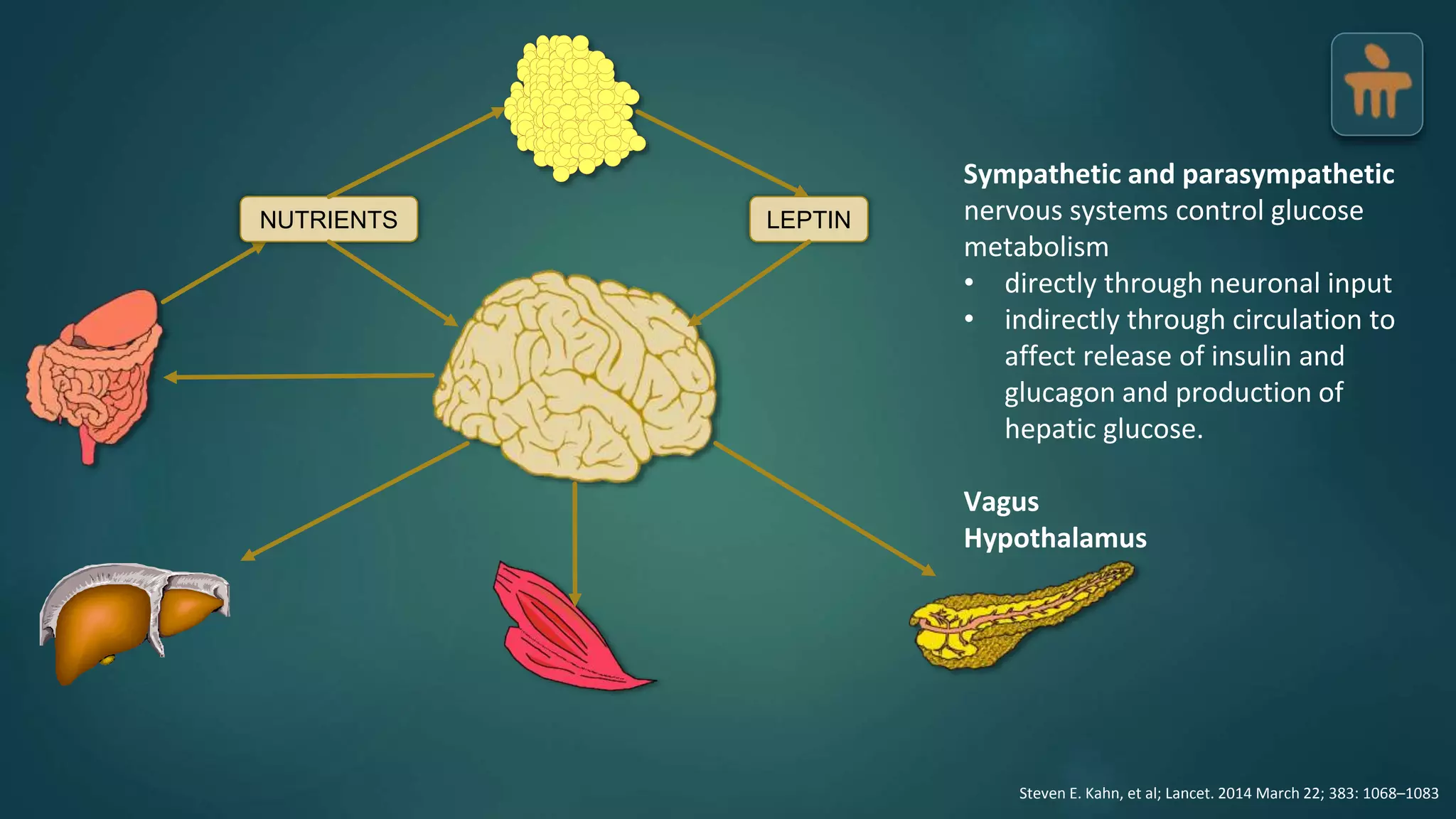 Type 2 Diabetes Mellitus - Pathophysiology | PPTX