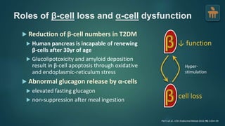Type 2 Diabetes Mellitus - Pathophysiology | PPTX