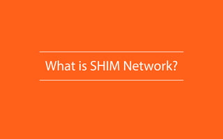 SHIM Marketing Strategy | PDF