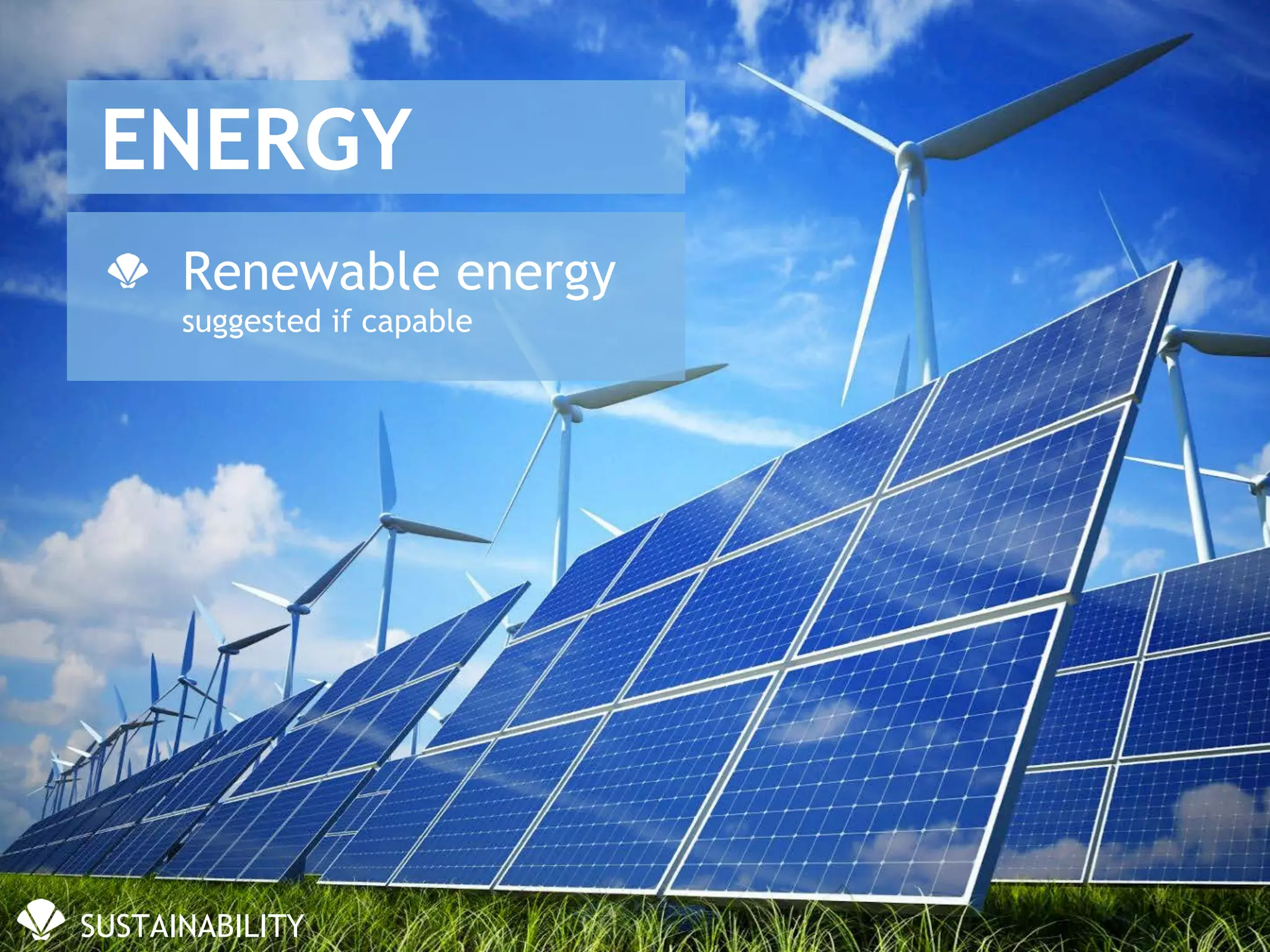 The Three Seashells | PDF