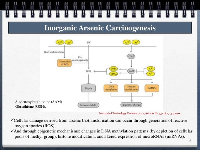 Arsenic and Bladder Cancer