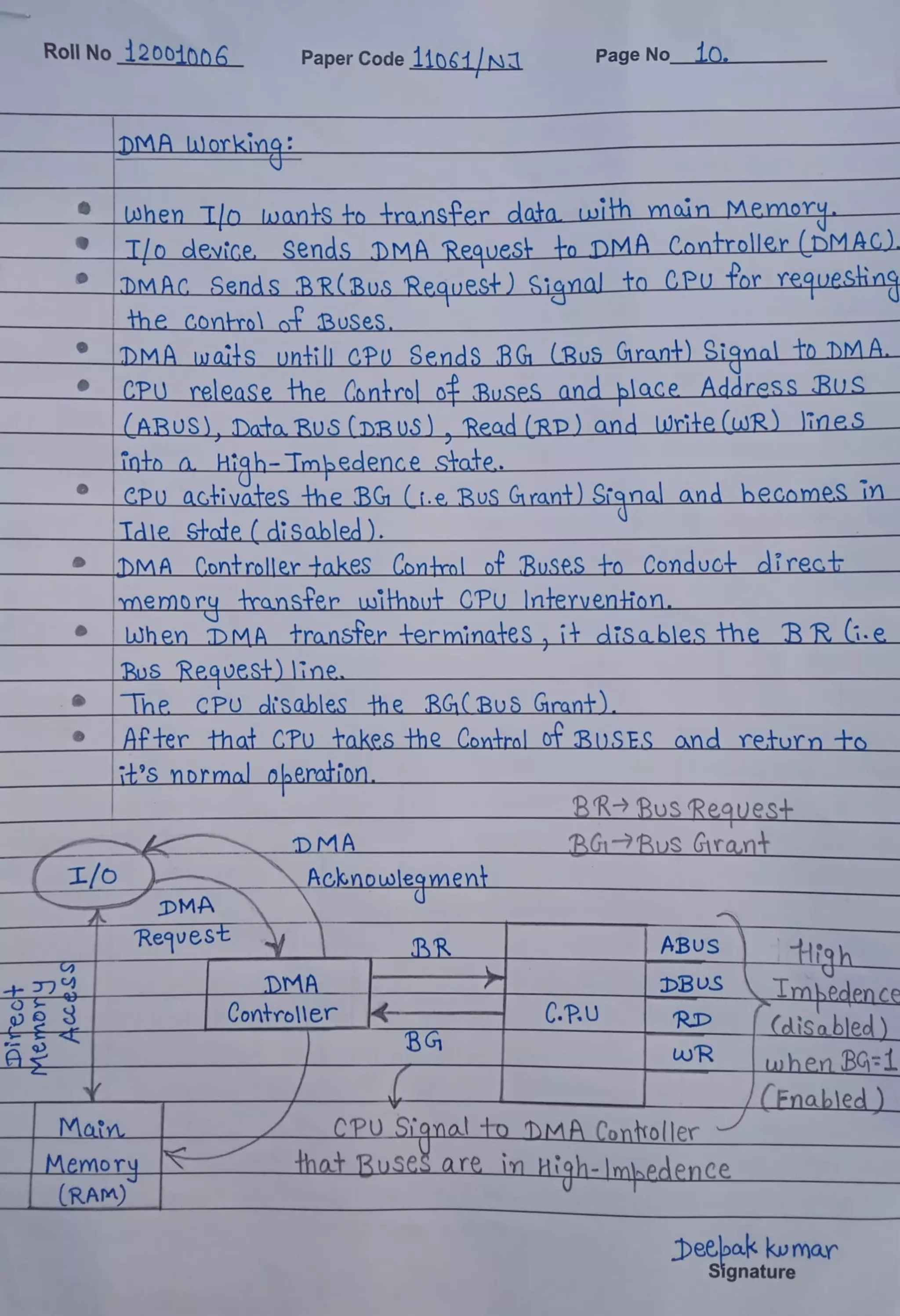 DMA.pdf