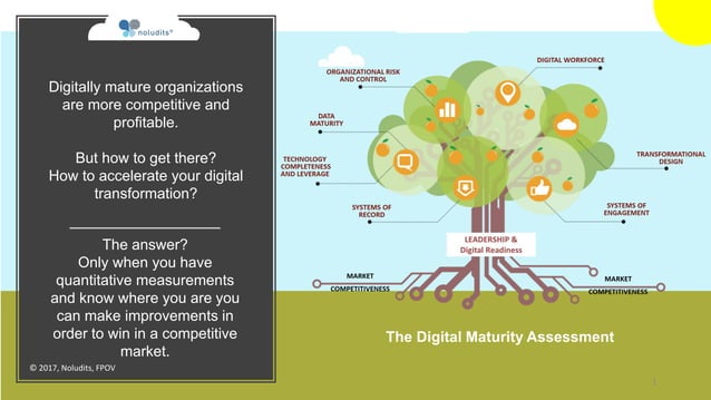 The Digital Maturity Assessment | PDF
