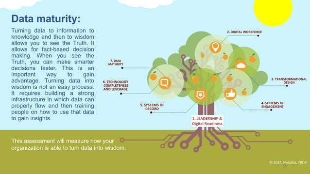 The Digital Maturity Assessment | PDF