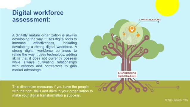 The Digital Maturity Assessment | PDF