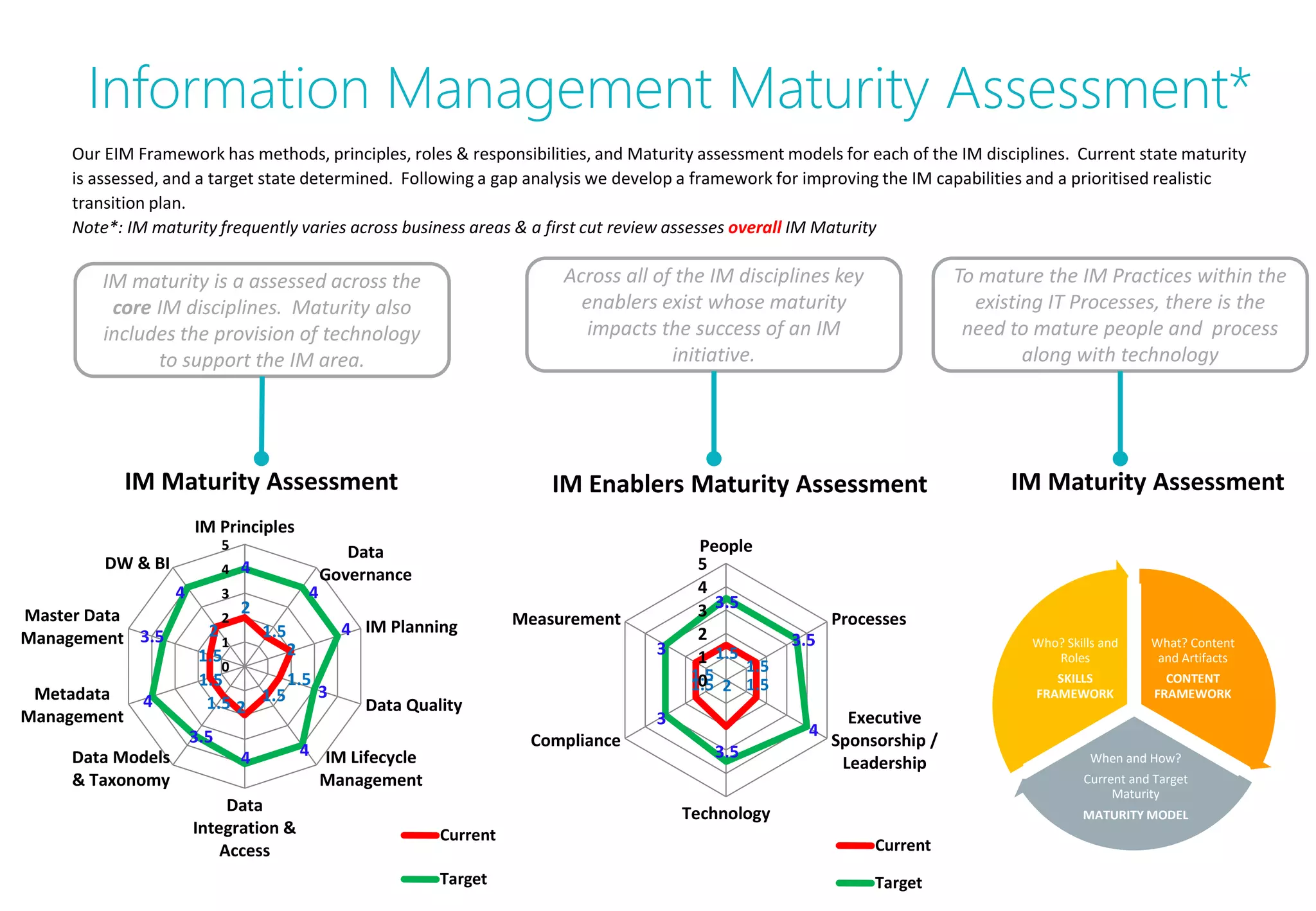 Information Management Capabilities, Competencies & Staff Maturity ...