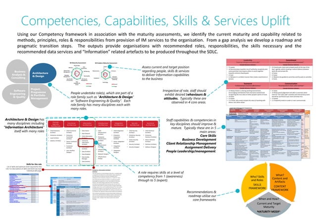 Information Management Capabilities, Competencies & Staff Maturity ...
