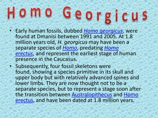 Dmanisi Georgia Ppt