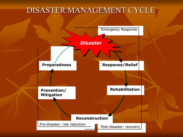 Disaster Management | PPT