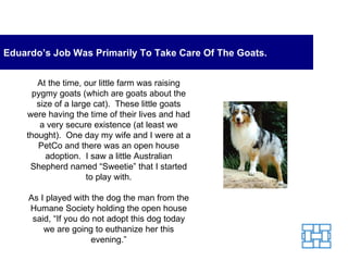 Power of Sacrifice Can Change Lives | PPT