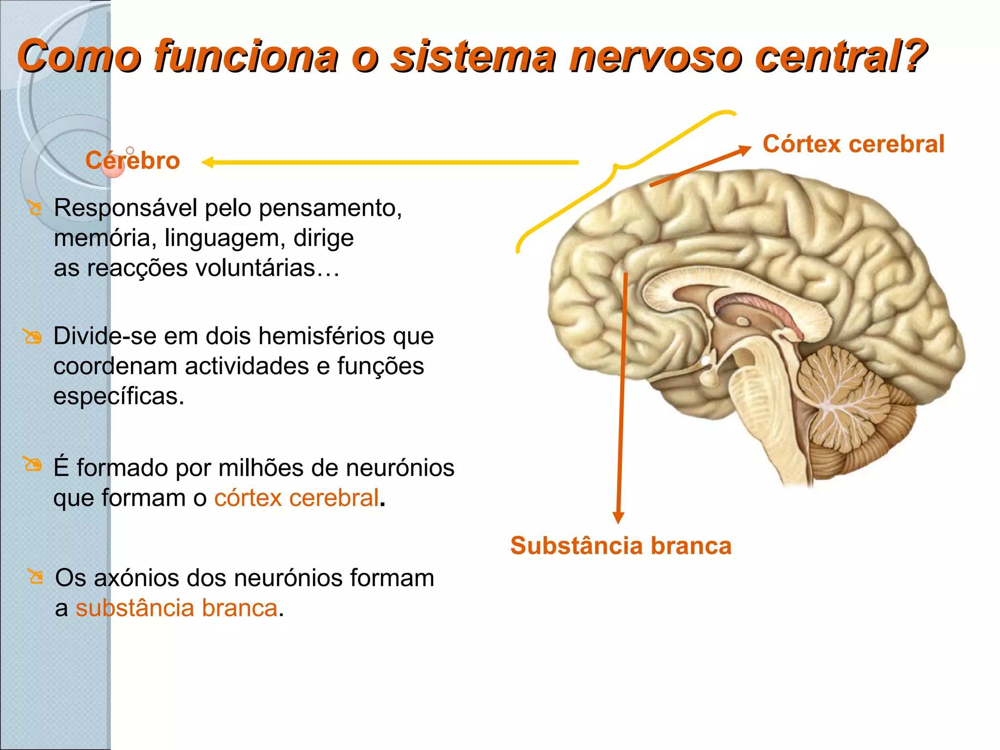 sistema neuro-hormonal | PPS