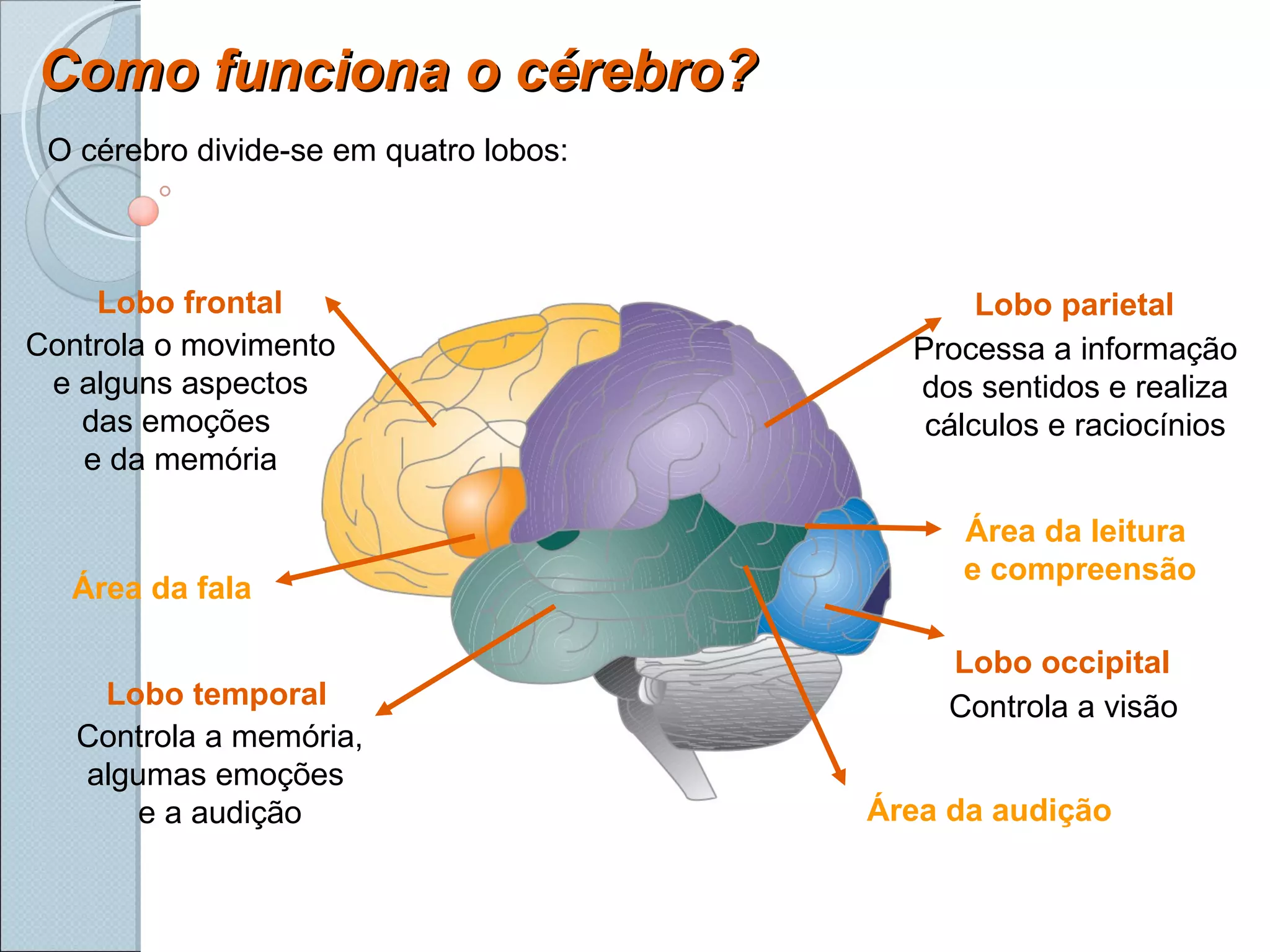 sistema neuro-hormonal | PPS