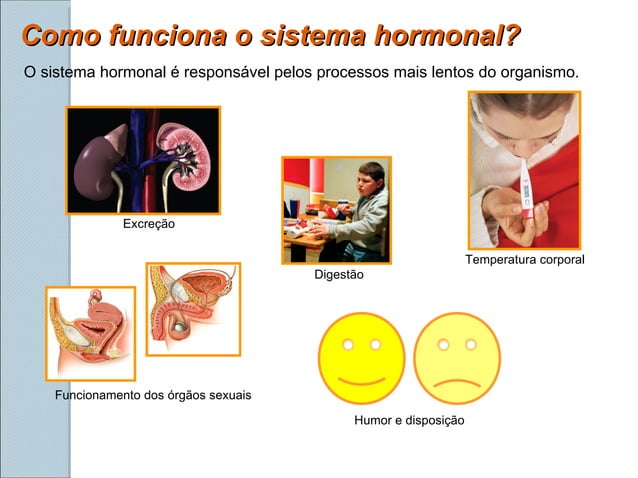 sistema neuro-hormonal | PPT