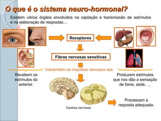 sistema neuro-hormonal | PPT