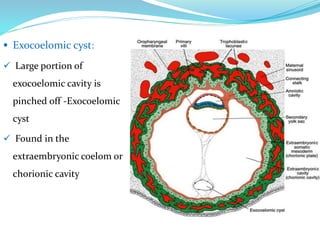 GENERAL EMBRYOLOGY | PPTX