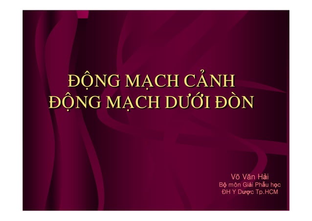 ĐỘNG MẠCH CẢNH - ĐỘNG MẠCH DƯỚI ĐÒN | PPT